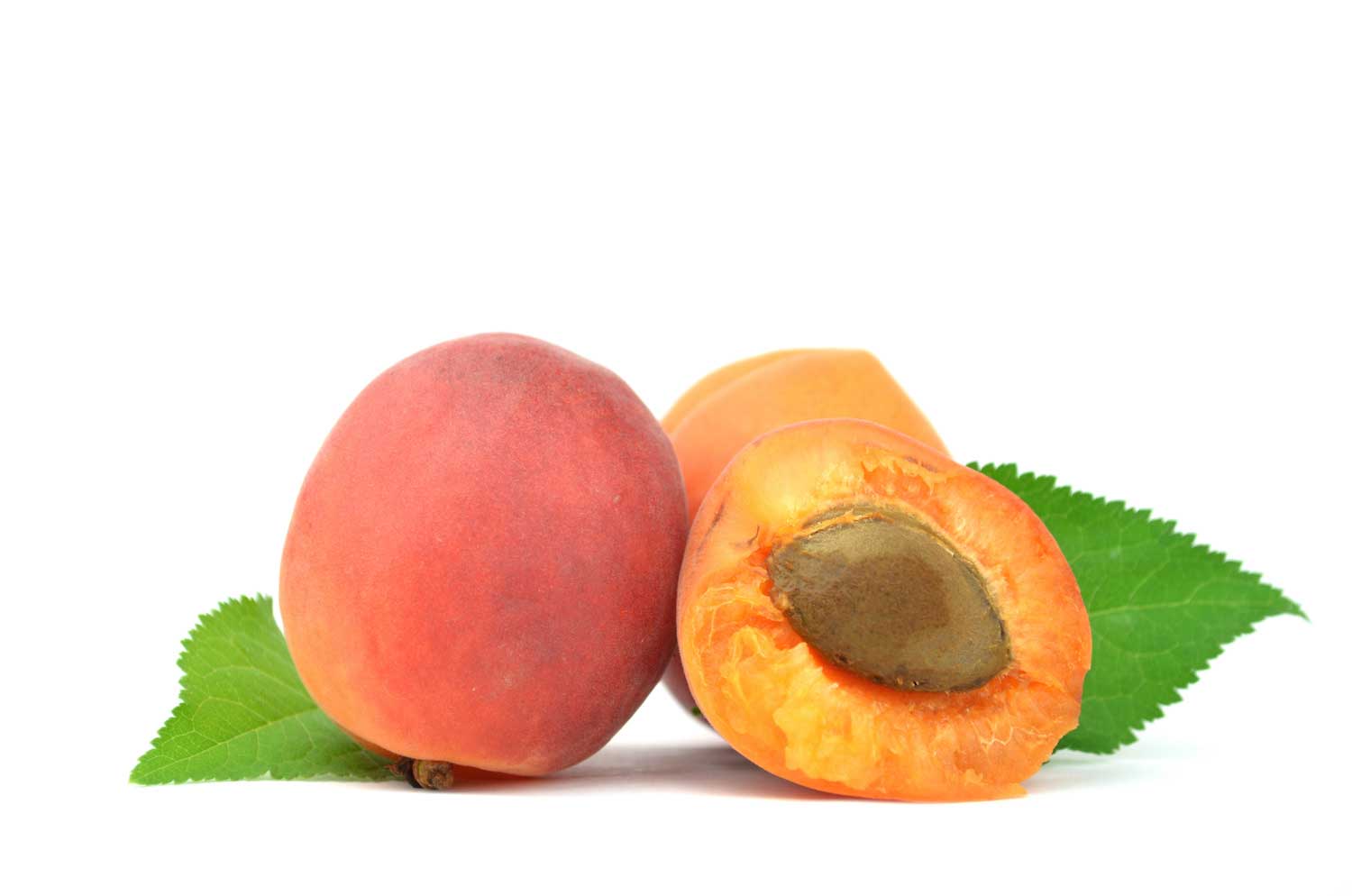 Pestki moreli – naturalne lekarstwo na wiele dolegliwości